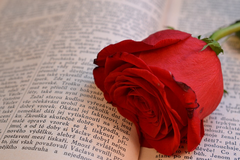 Il romanzo rosa: consigli di scrittura – S. Valentino – Editor Gloria ...